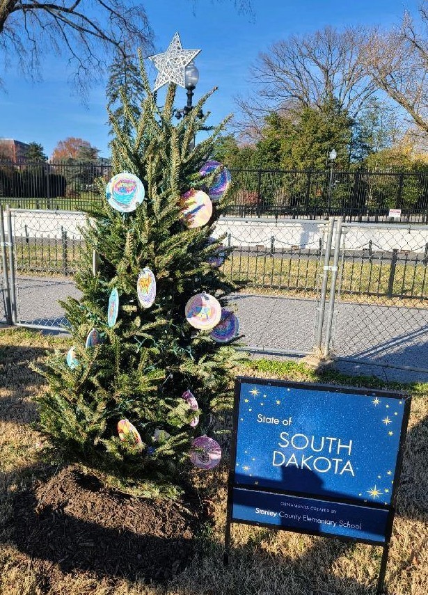 3rd Grade Christmas Tree in Washington, DC | Stanley County 57-1 Public ...